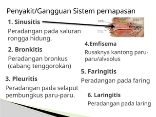 Bismillah_Penyakit Sistem Pernapasan_Kelas Papan Tulis_Ana_5D.pptx