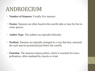 Family Solenaceae by Bisma Ishtiaq .GCUL