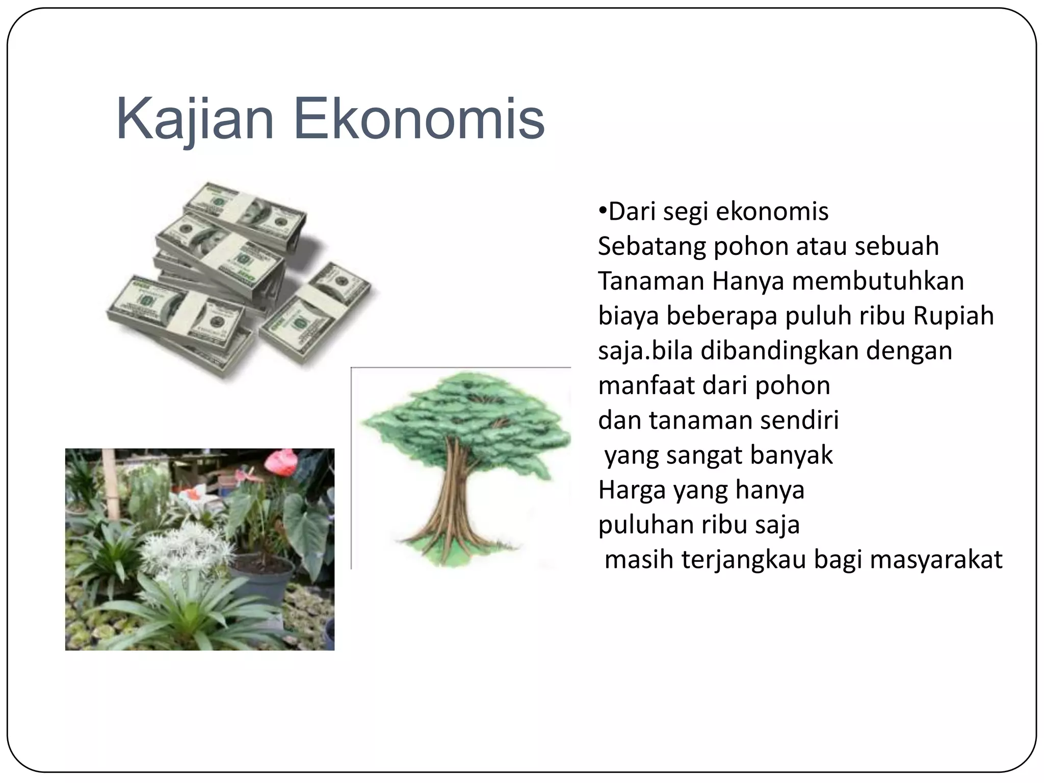 Bisnis penjualan bibit pohon dan tanaman | PPTX