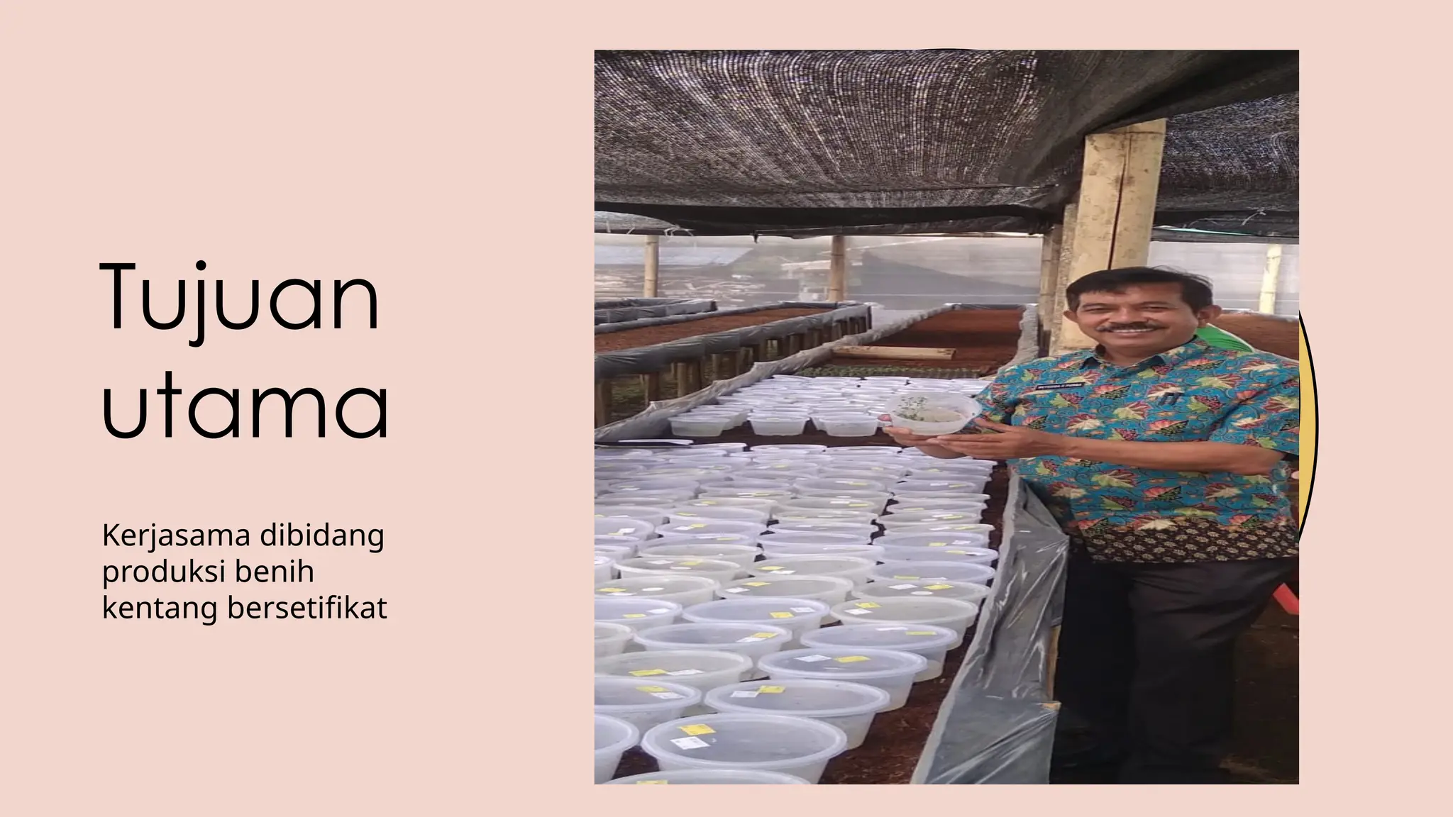 BISNIS PROPOSAL produksi benih kentang - Copy.pptx