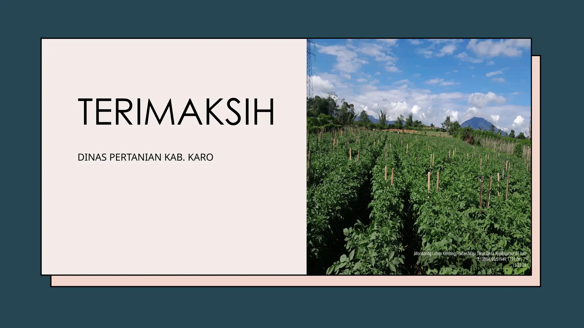BISNIS PROPOSAL produksi benih kentang - Copy.pptx