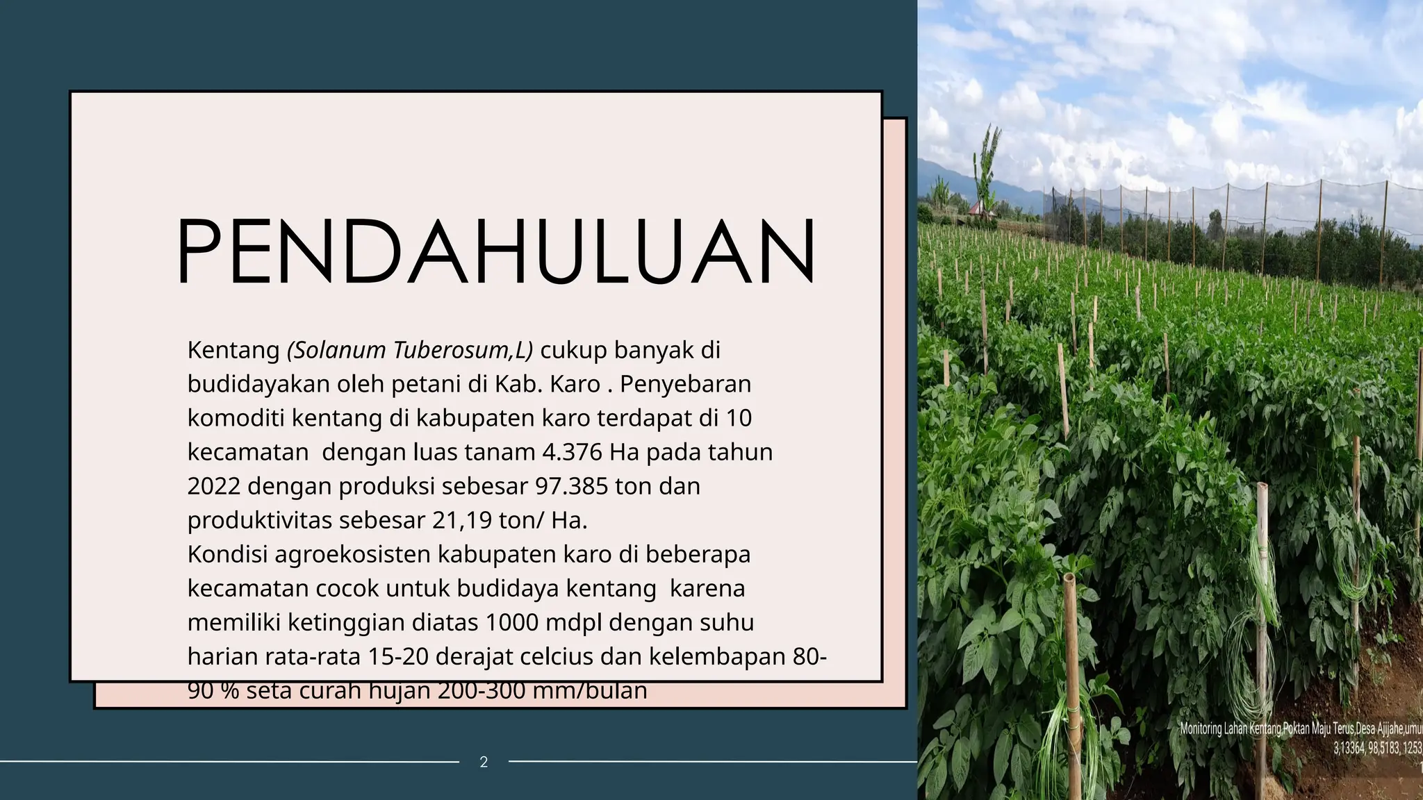 BISNIS PROPOSAL produksi benih kentang - Copy.pptx