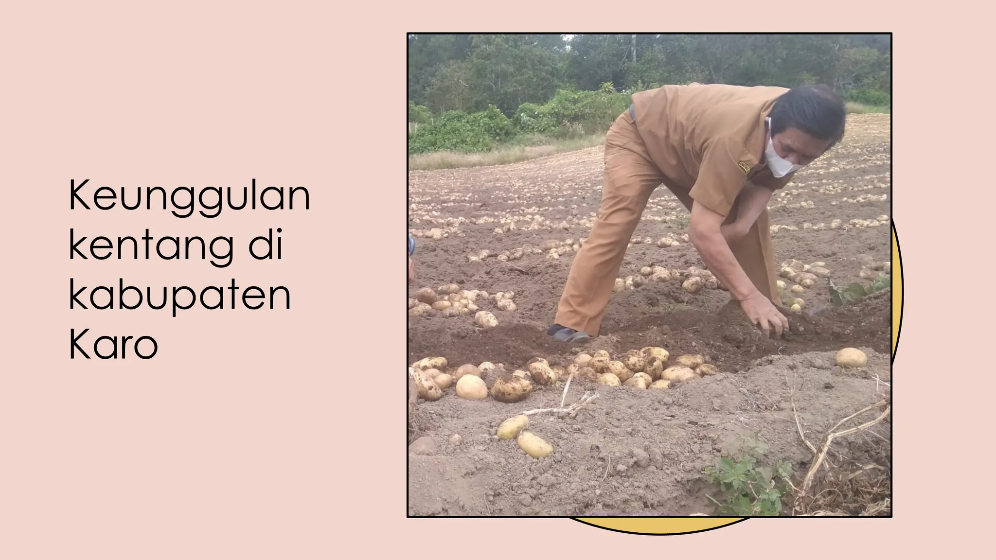 BISNIS PROPOSAL produksi benih kentang - Copy.pptx