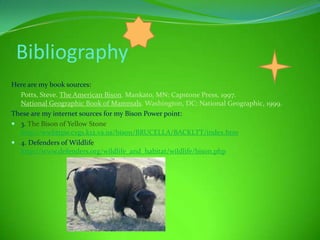 Bison | PPTX