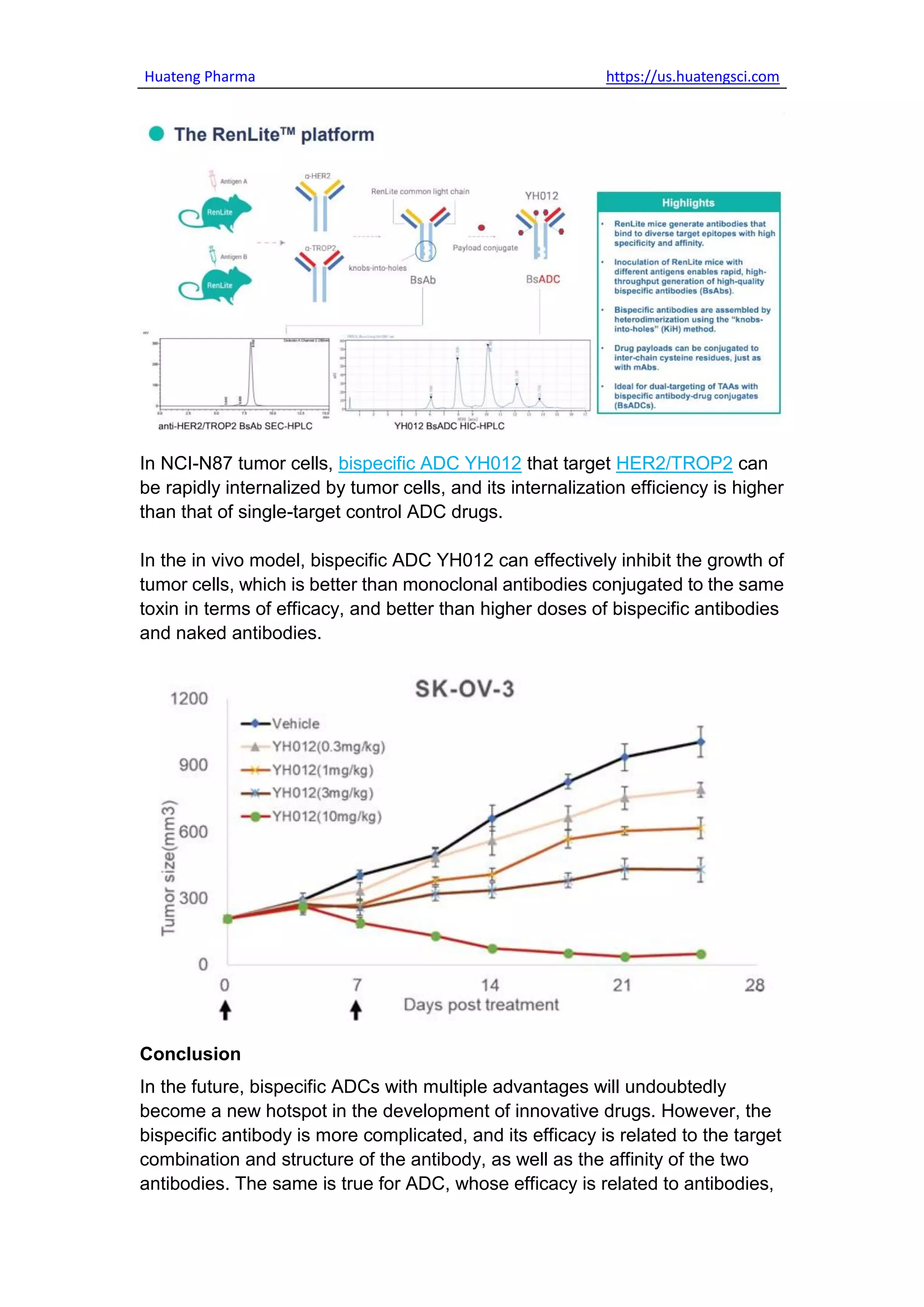 Bispecific Antibody-drug Conjugate Drugs In Clinical or Preclinical.pdf