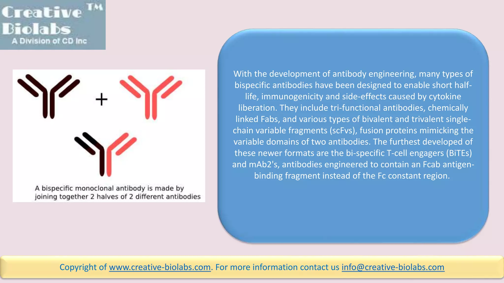 Bispecific antibody by creative biolabs | PPTX