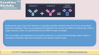 Bispecific antibody by creative biolabs | PPTX