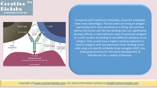 Bispecific antibody by creative biolabs | PPTX