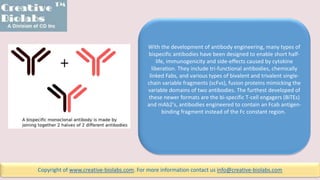 Bispecific antibody by creative biolabs | PPTX