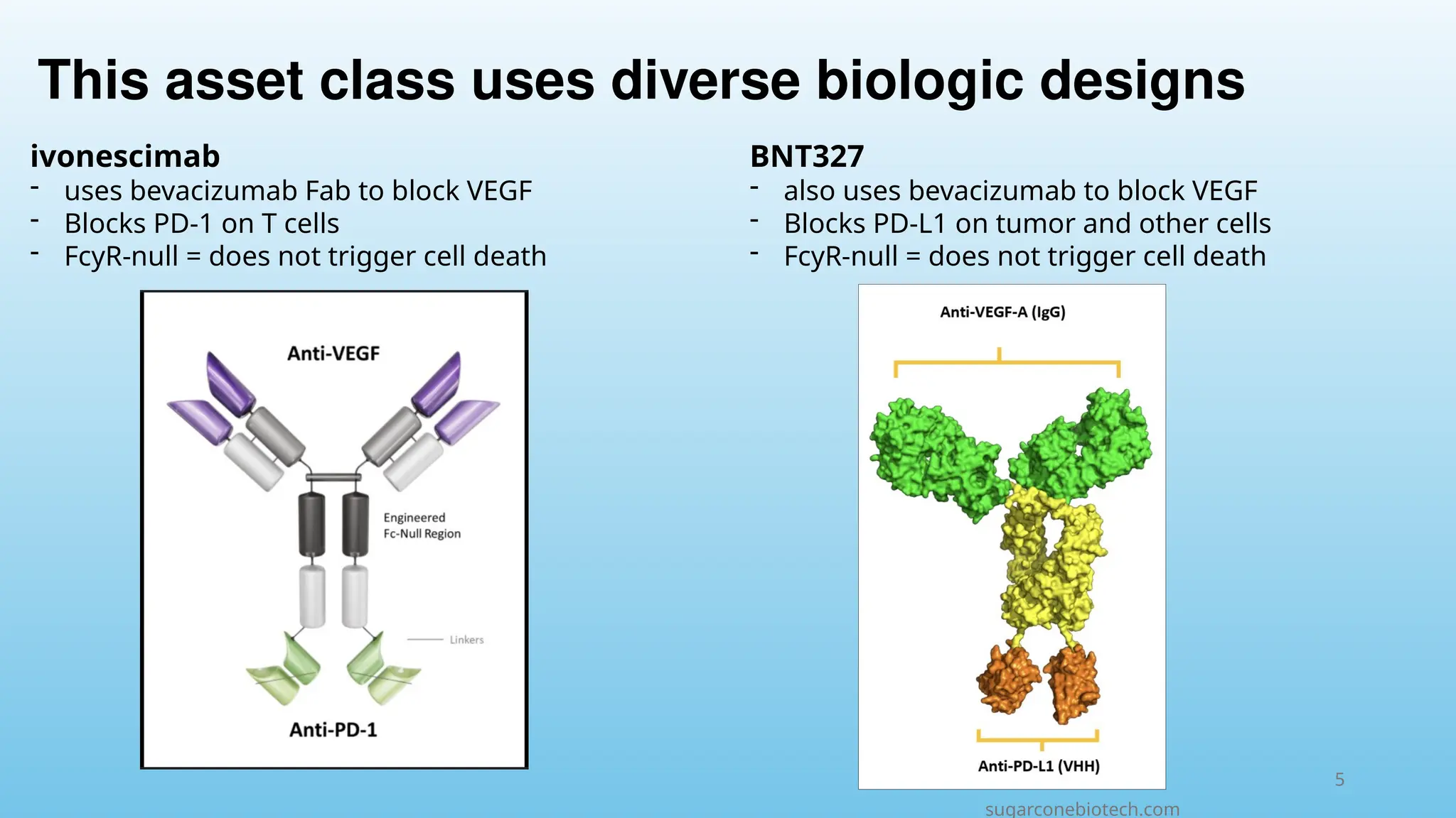 PD1 x VEGF bispecific landscape: examining Hope versus Hype | PPTX