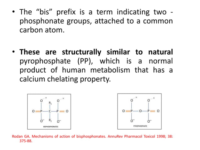Bisphosphonates | PPTX | Bone and Joint Conditions | Diseases and ...