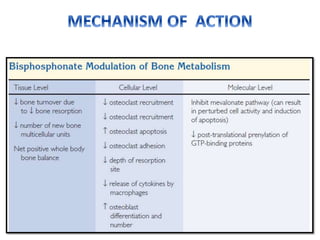 Bisphosphonates Mechanism Of Action