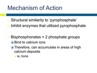 Bisphosphonate Therapy in Horses | PPTX