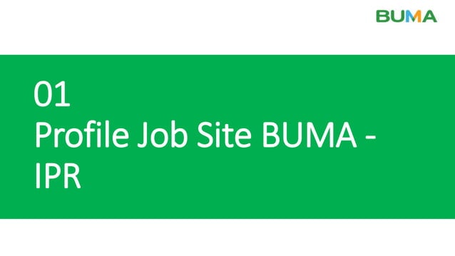 Bussiness Process in Coal Mining BUMA IPR | PDF