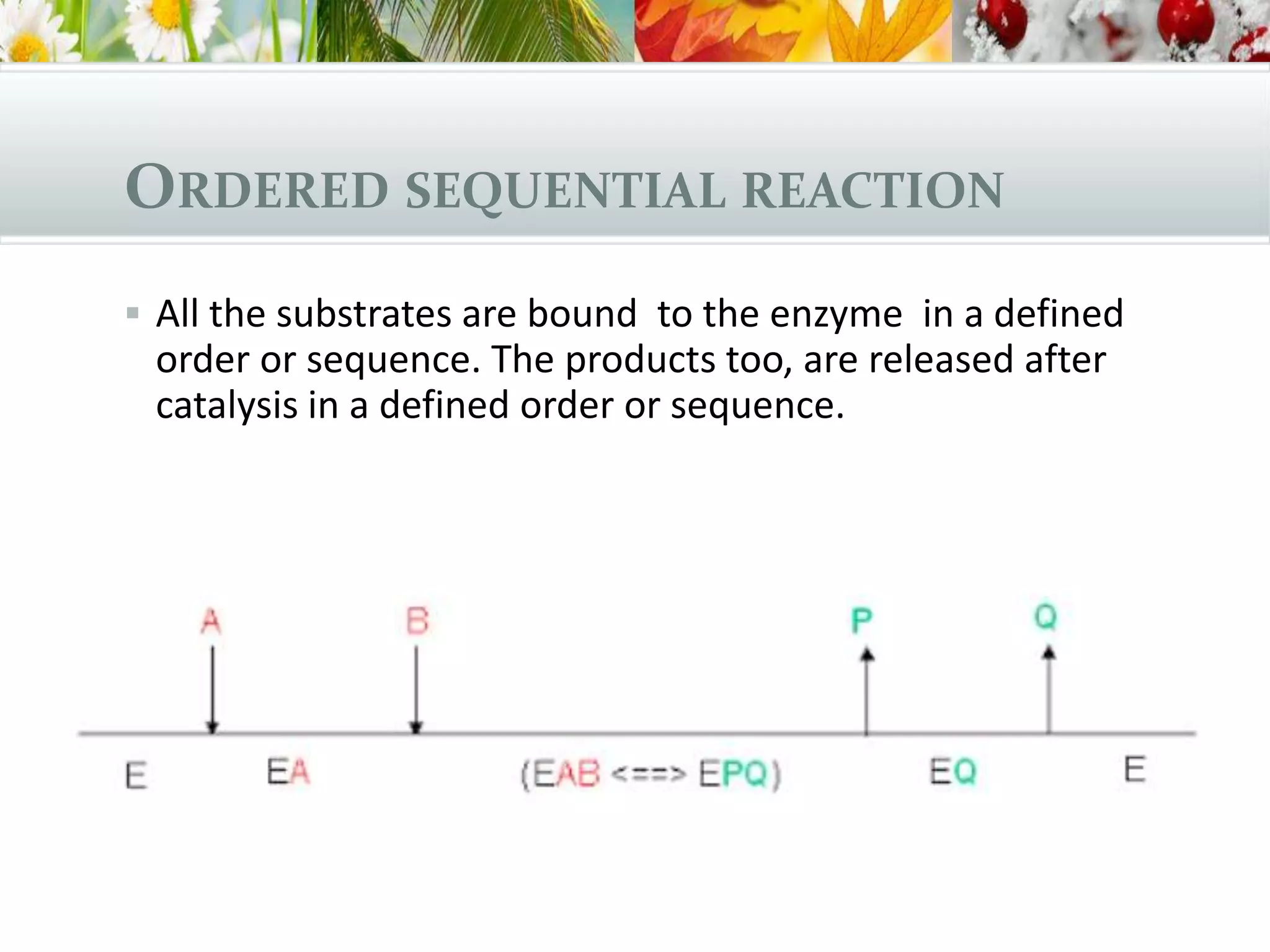 Bisubstrate reaction | PPTX