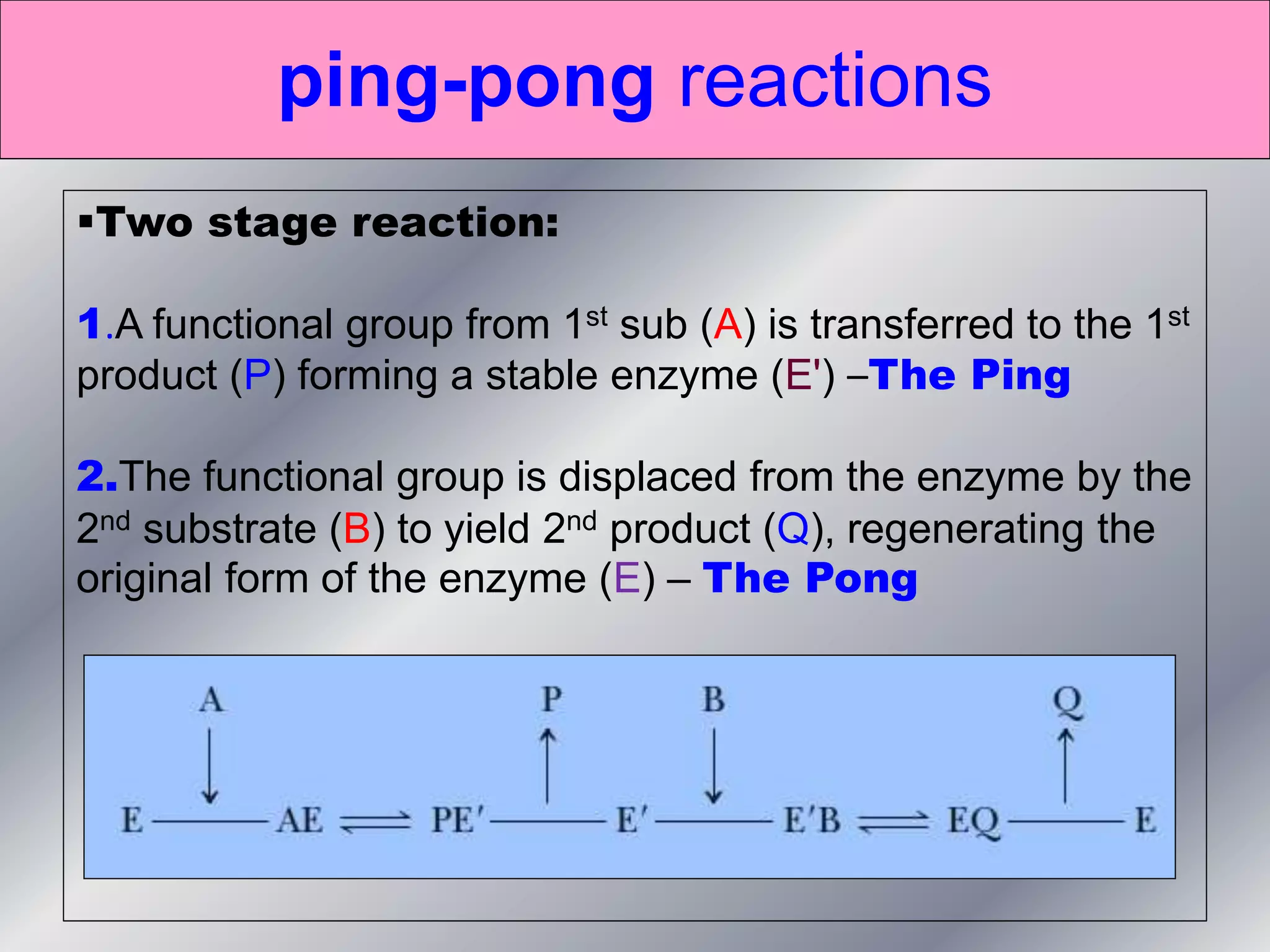 Bisubstrate reactions enzyme kinetics | PPTX