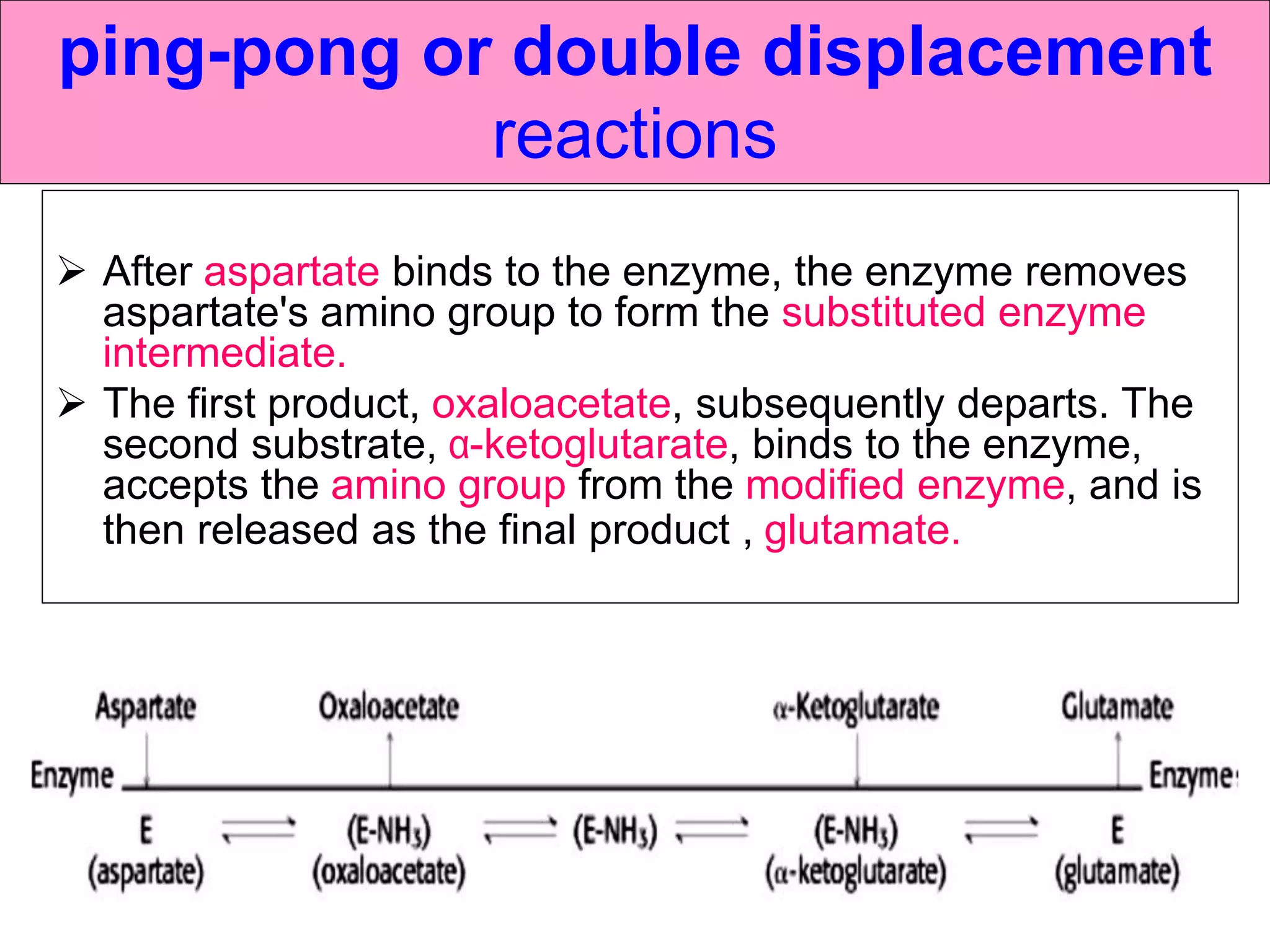 Bisubstrate reactions enzyme kinetics | PPTX