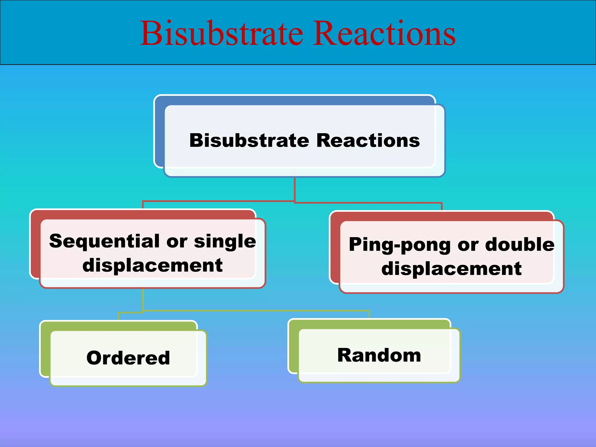 Bisubstrate reactions enzyme kinetics | PPTX