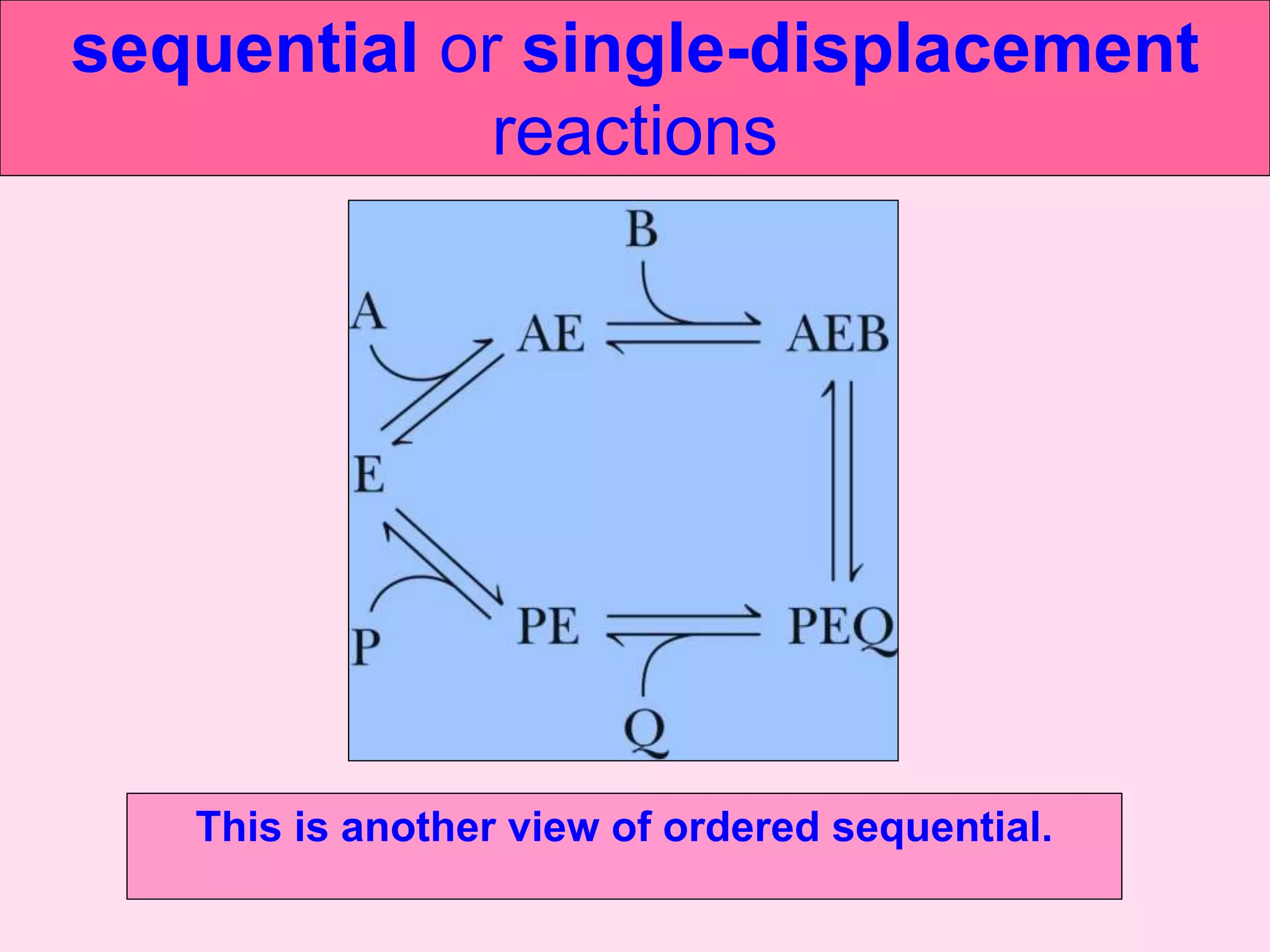 Bisubstrate reactions enzyme kinetics | PPTX