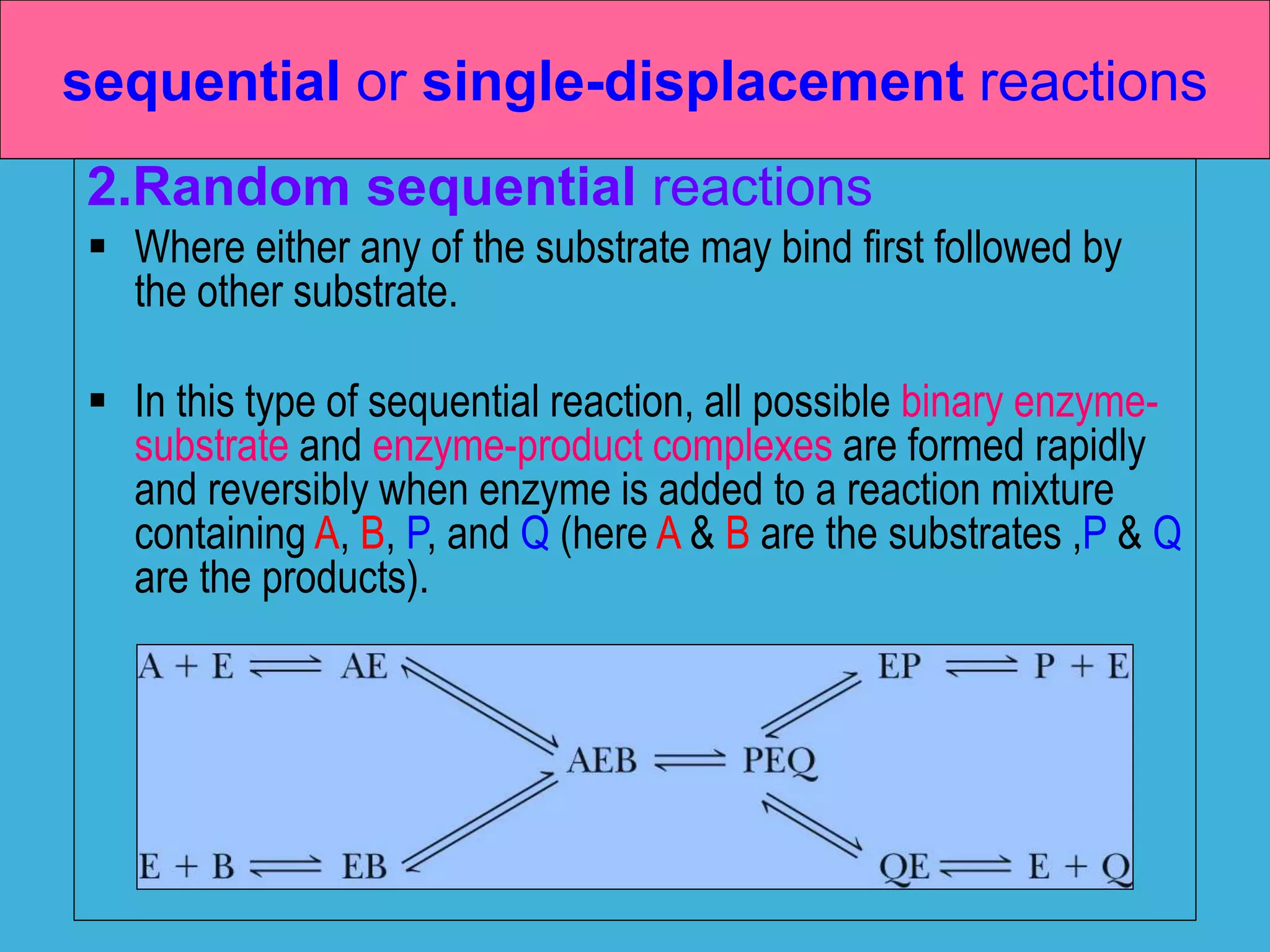 Bisubstrate reactions enzyme kinetics | PPTX