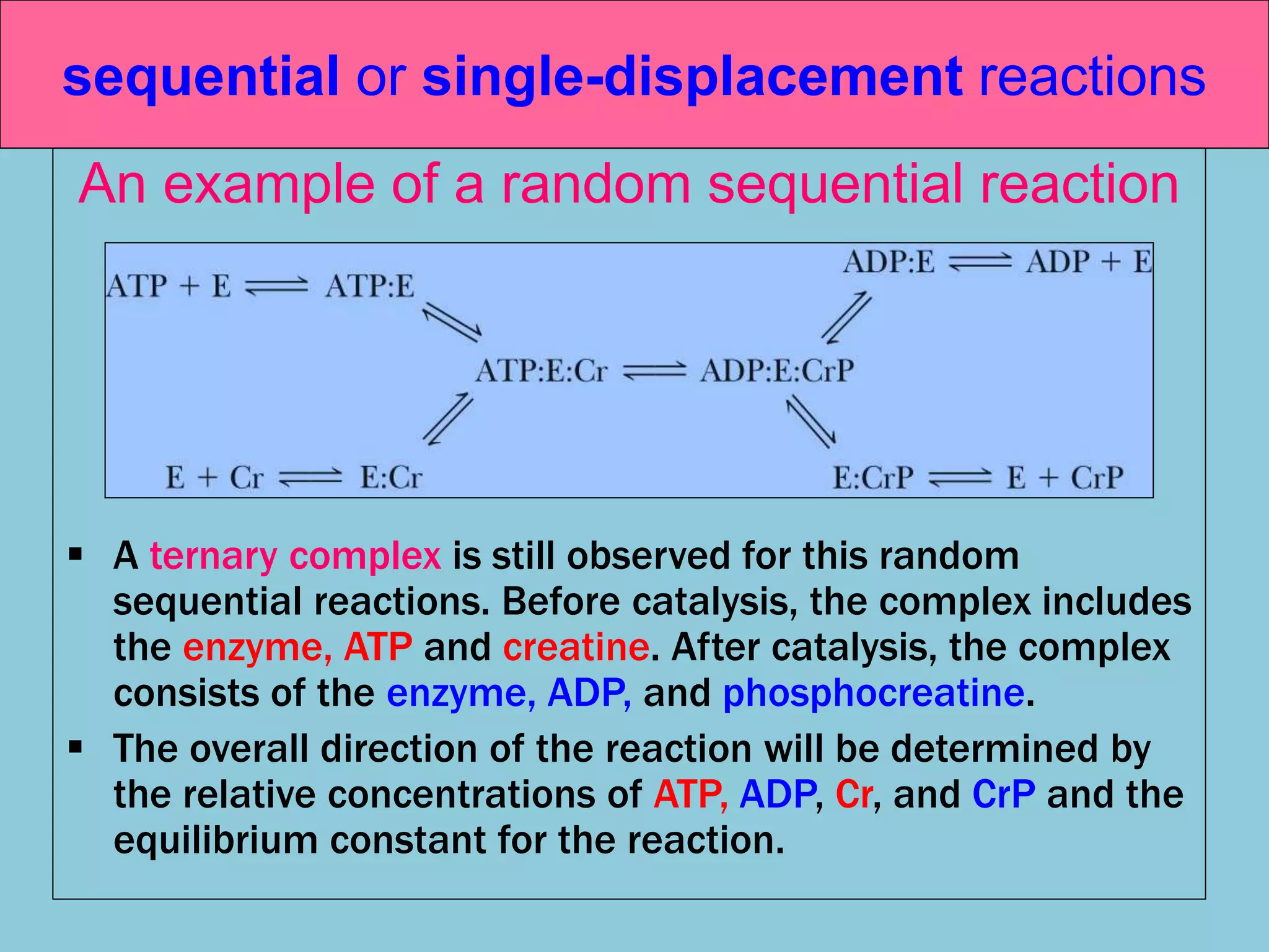 Bisubstrate reactions enzyme kinetics | PPTX