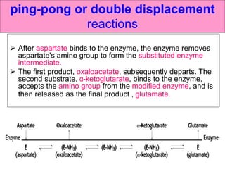 Bisubstrate reactions enzyme kinetics | PPTX