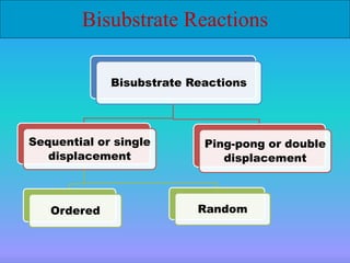 Bisubstrate reactions enzyme kinetics | PPTX