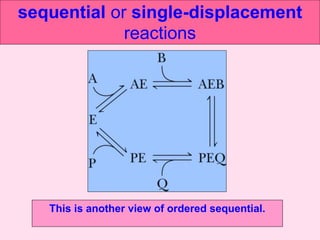 Bisubstrate reactions enzyme kinetics | PPTX