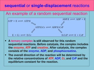 Bisubstrate reactions enzyme kinetics | PPTX