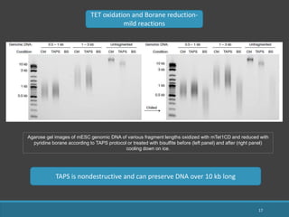 Bisulfite free epigenome sequencing | PPTX