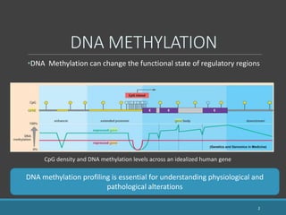 Bisulfite free epigenome sequencing | PPTX