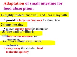 Bit_absorption | PPT