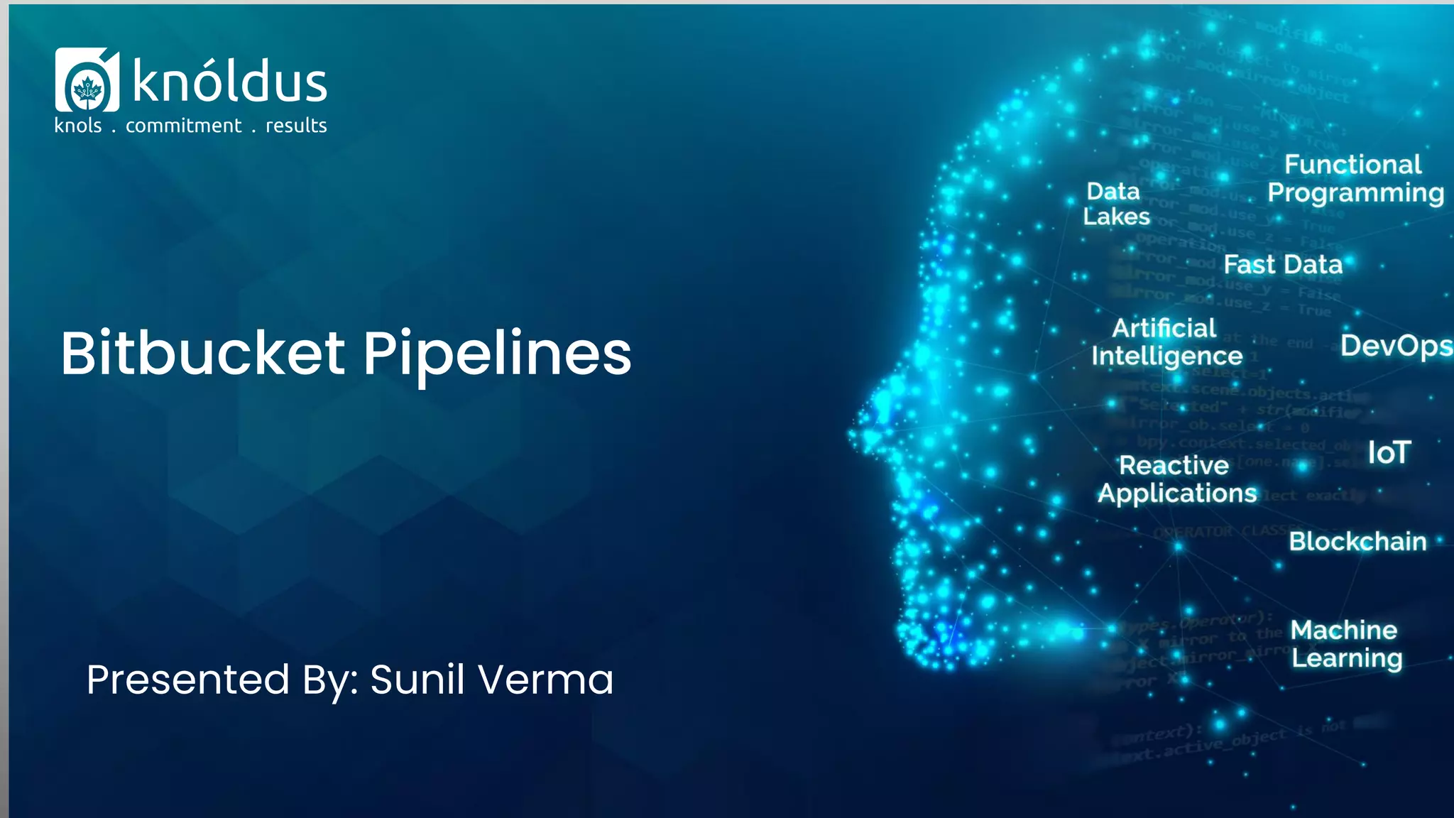 Bitbucket Pipelines | PDF