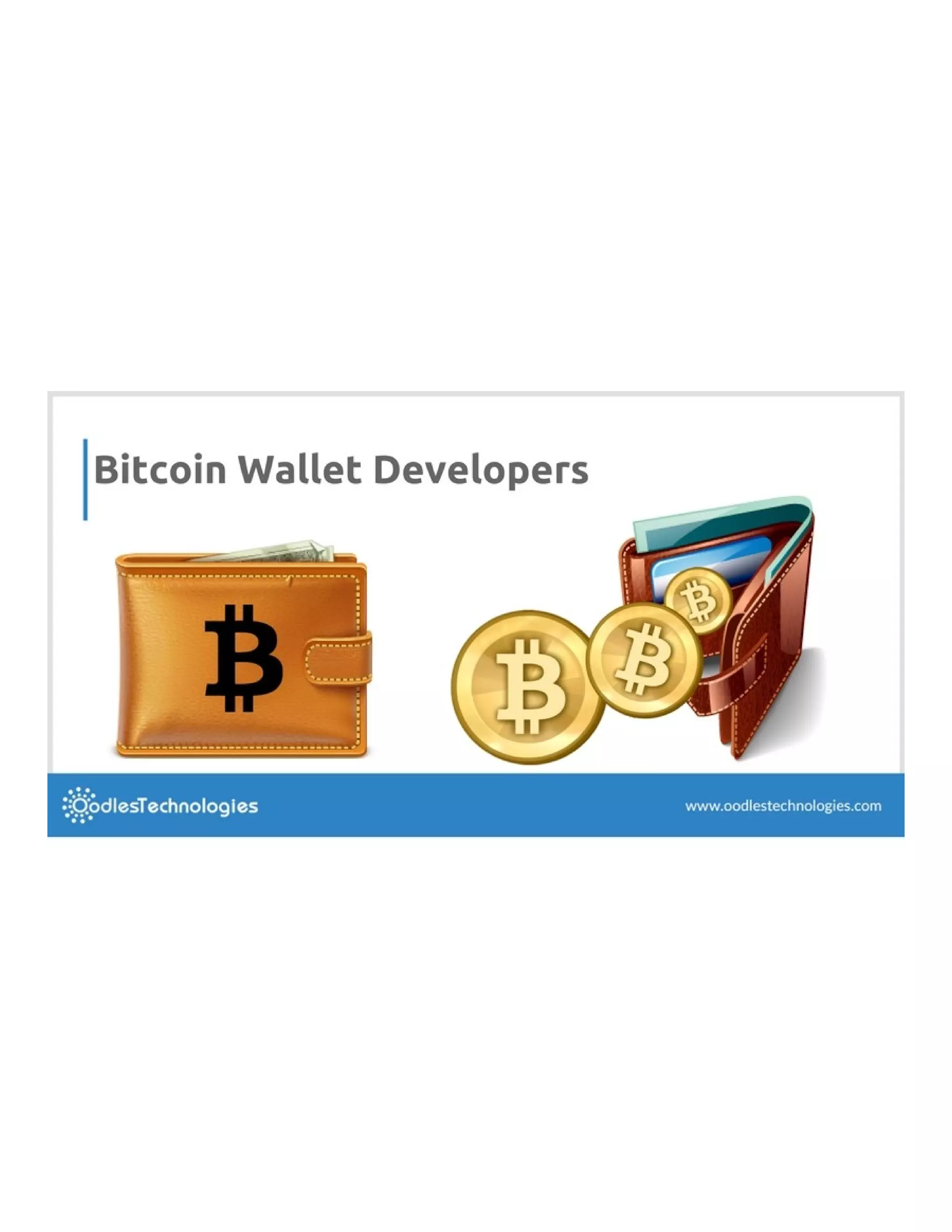 Bitcoin wallet developers | PDF