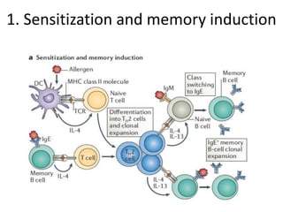 WASP N Mosquito BITE IMMUNOLOGY | PPTX | Infectious Diseases | Diseases ...