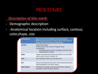 Bite Marks (FORENSIC DENTISTRY) | PPTX