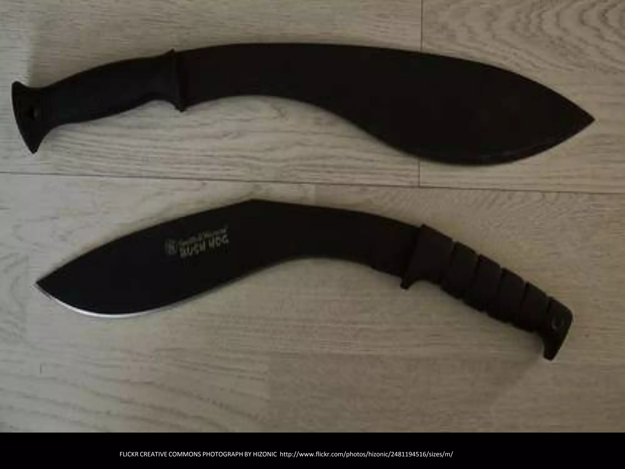 Bite Of The Mango Booktalk | PPTX