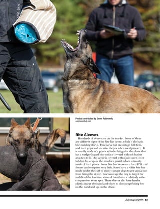 Mechanics of The Bite | PDF | Dogs | Pets