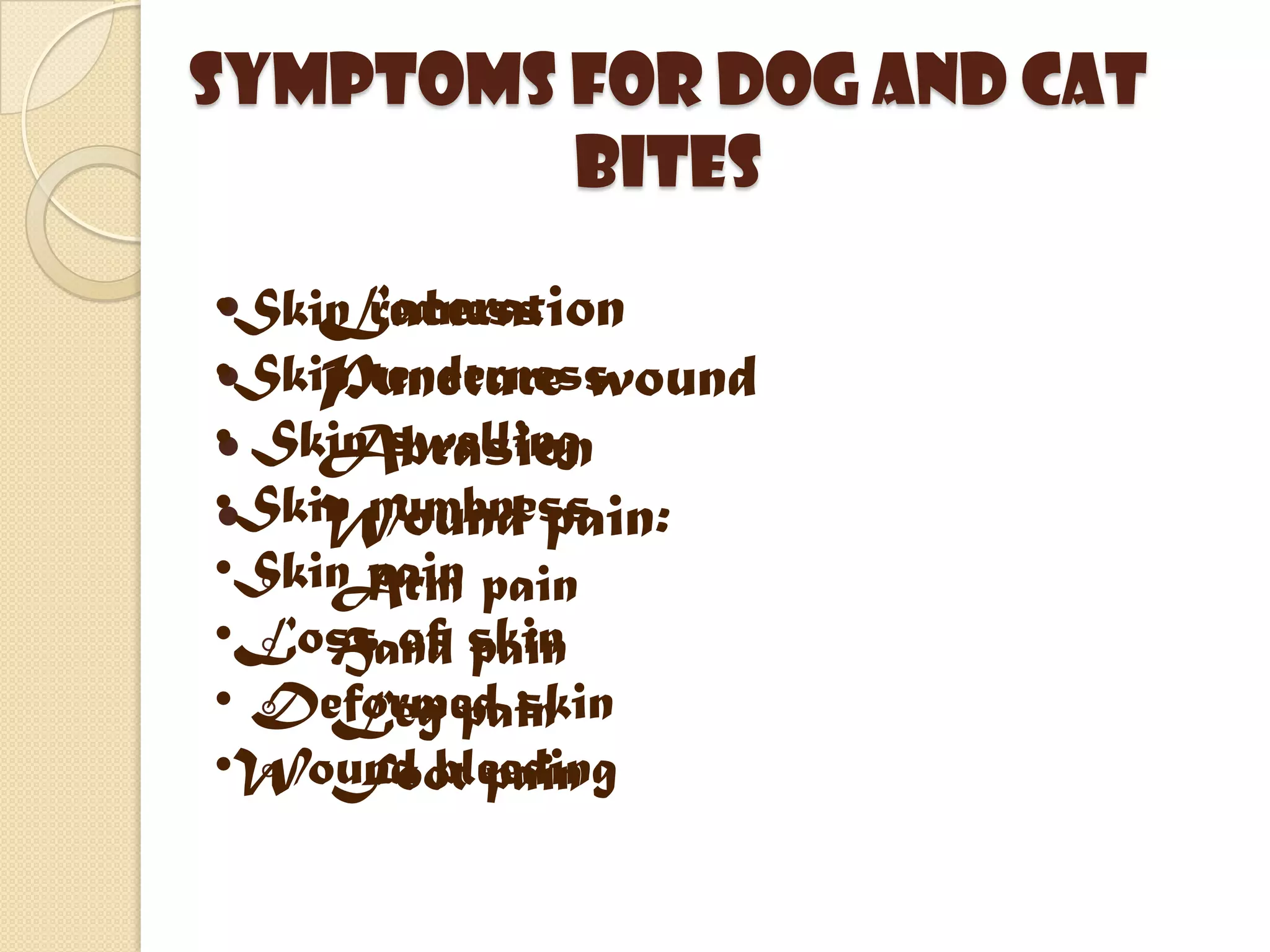 Bites | PPTX