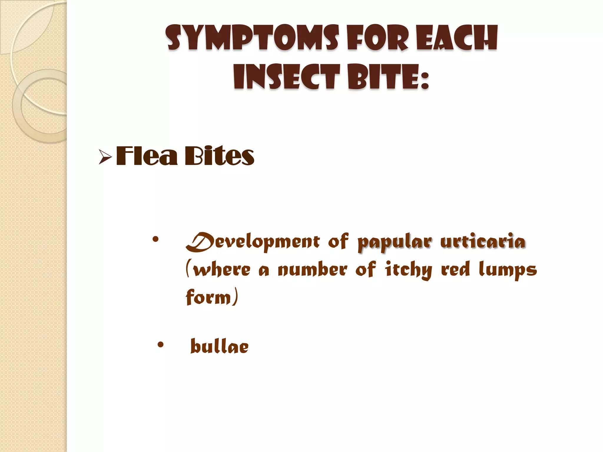 Bites | PPTX