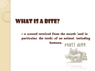 Bites | PPTX