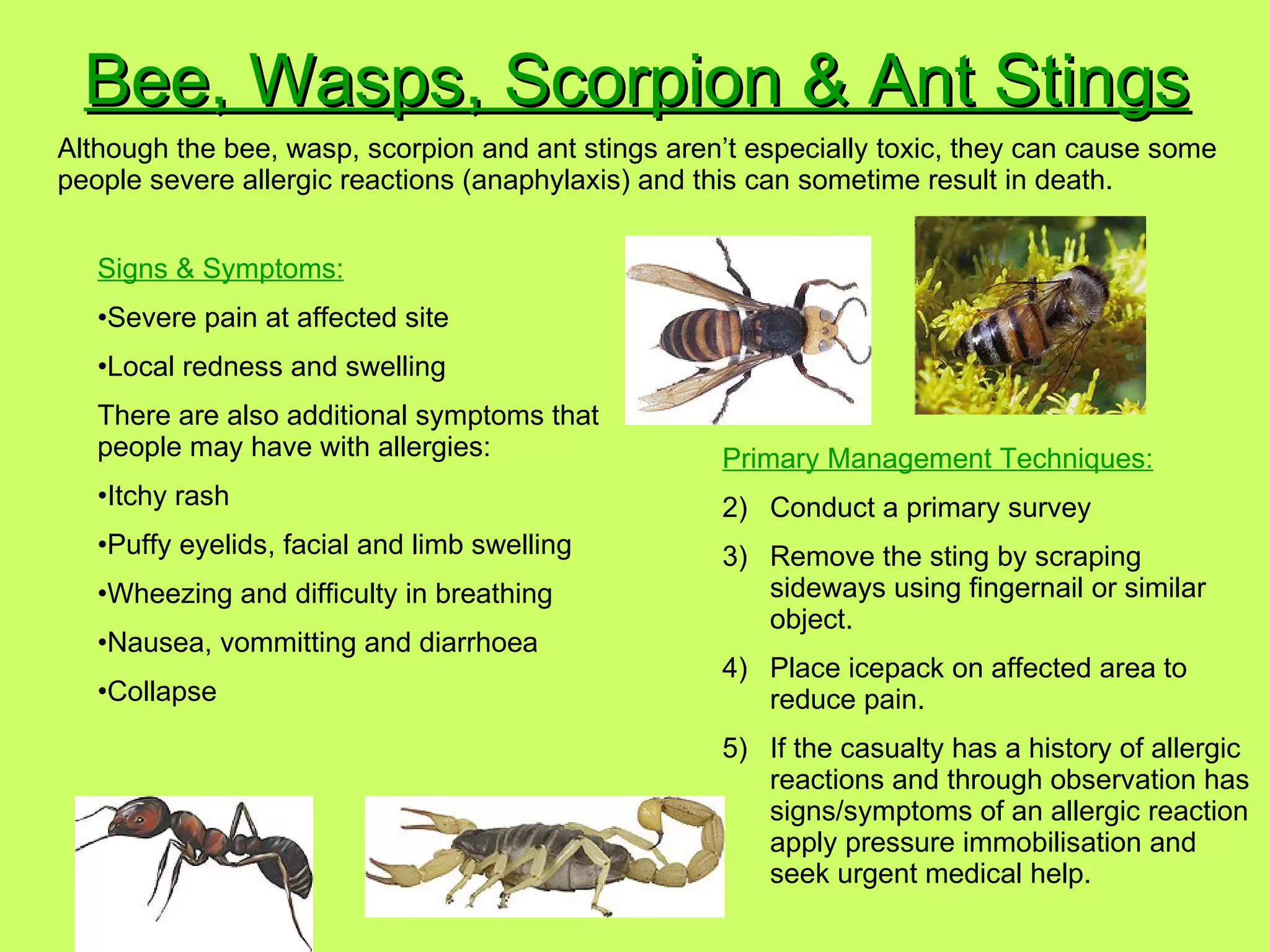 Bites And Stings | PPT