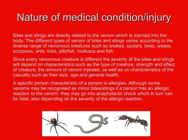 Bites And Stings | PPT | First Aid | Injuries