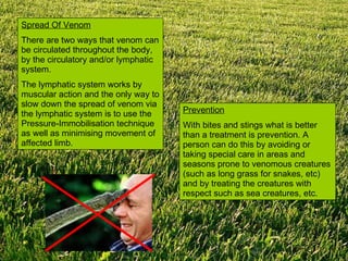 Bites And Stings | PPT