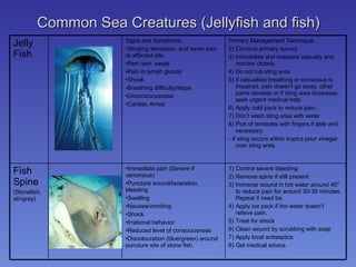 Bites And Stings | PPT