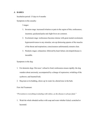 Bites and first aid | DOCX