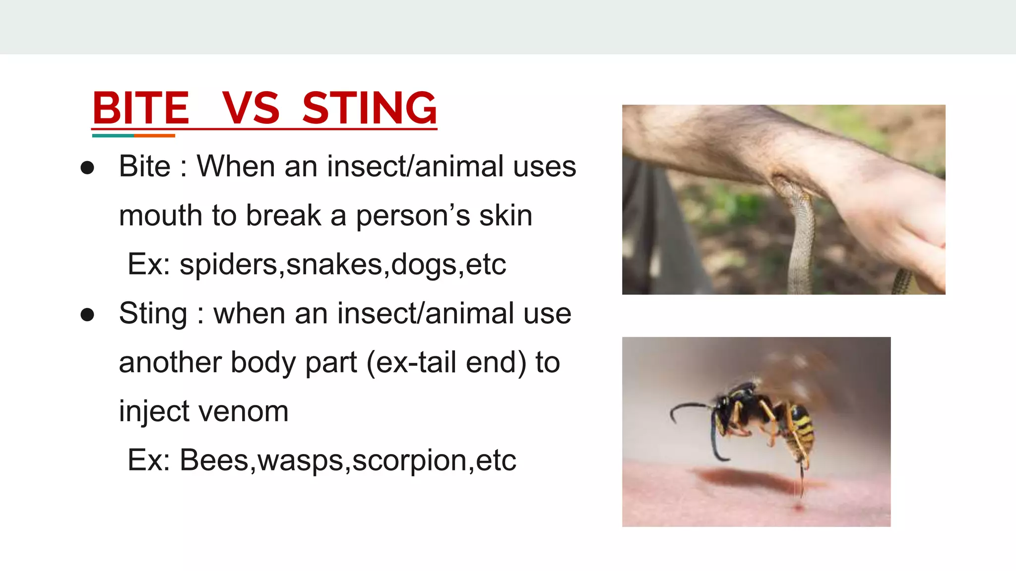 BITES AND STINGS.pptx | Beekeeping | Hobbies & Interests