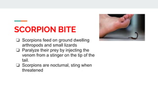 BITES AND STINGS.pptx