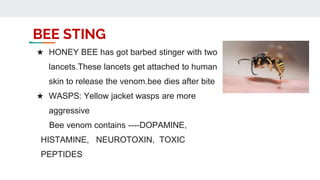 BITES AND STINGS.pptx