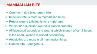 BITES AND STINGS.pptx